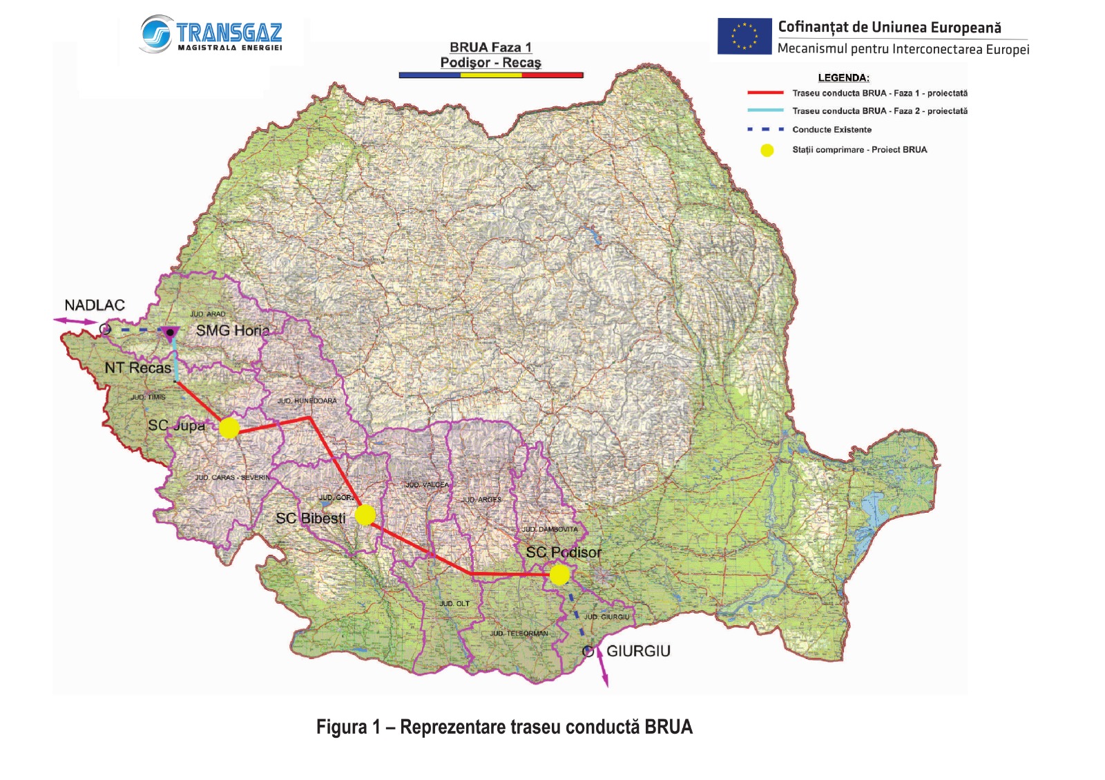 conducta BRUA (6) – Observator de Timis