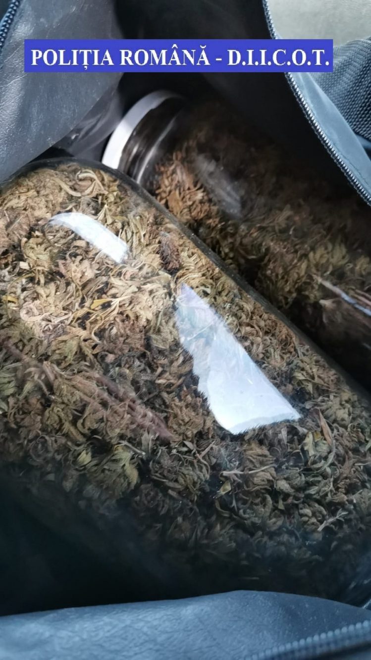 Bărbați din Foeni reținuți pentru trafic de droguri – Observator de Timis