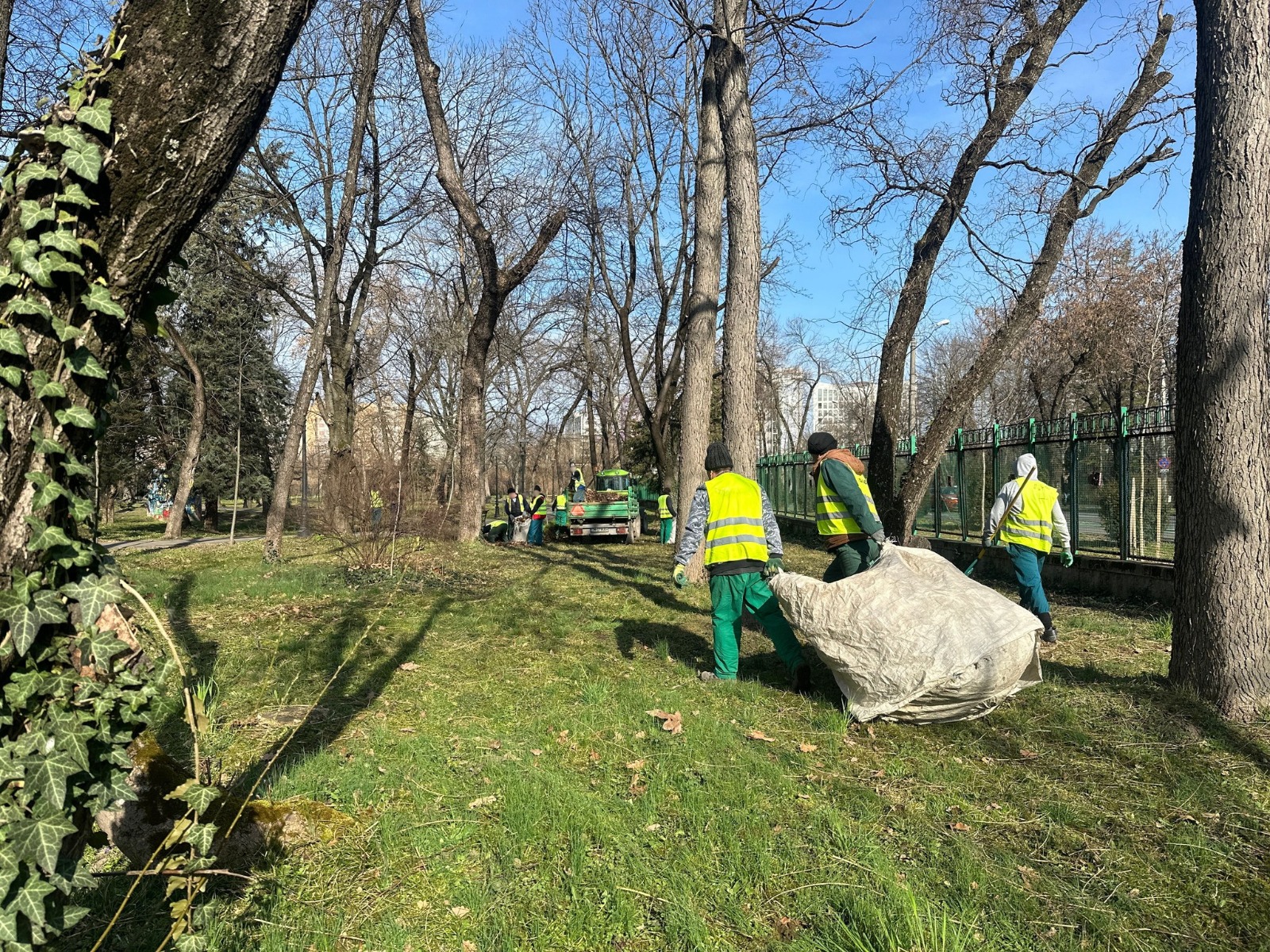 Spațiile verzi din Timișoara, curățate de deșeuri și resturi vegetale ...