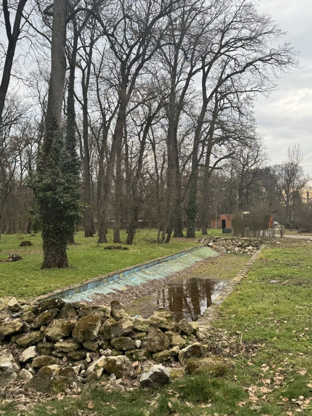 Consilierul Roxana Iliescu: „Inconștiență marca USR” – avertisment dur ...